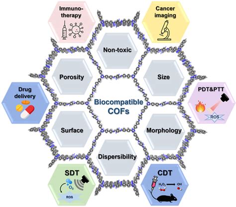 Covalent Organic Framework Nanomedicines Biocompatibility For Advanced