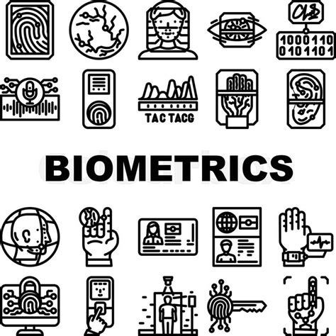 biometrics authentication scan icons set vector identificat colourbox