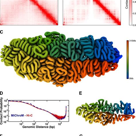 Hi C Maps And 3d Structures Of Chromosome 1 After The Parameters