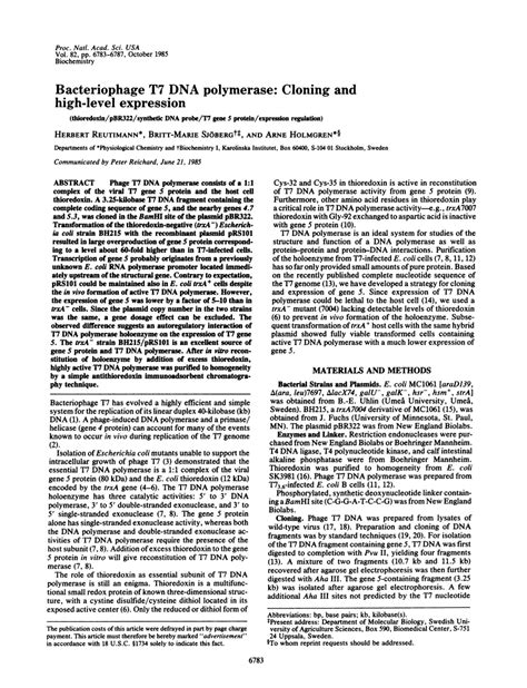 Bacteriophage T7 Dna Polymerase Cloning And High Level Expression Pmc