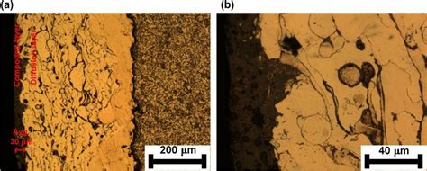 A Low And B High Magnification Cross Sectional Lom Micrographs Of