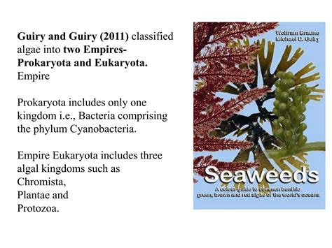 Algae Classification Pptx