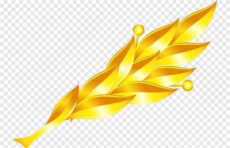 잎 금 꽃잎 금박 잎 단풍잎 Png Pngegg