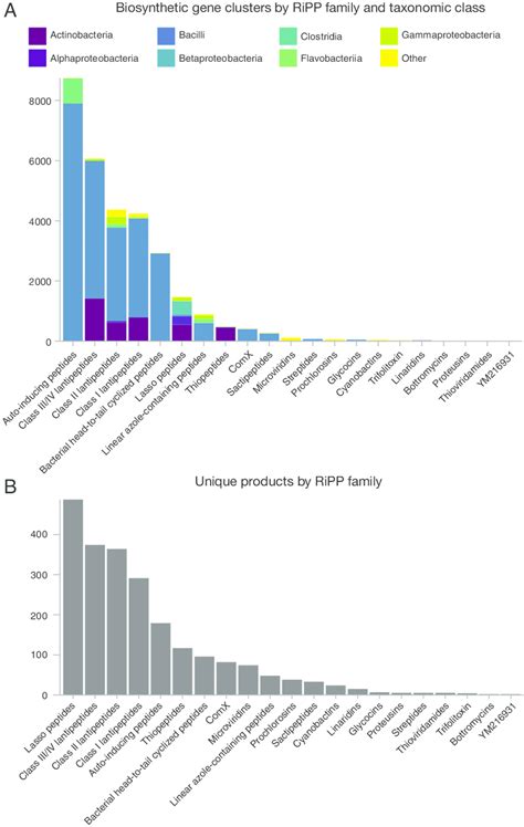 Genome Mining For Ripp Biosynthetic Gene Clusters And Their Unique Download Scientific Diagram