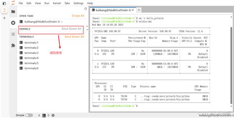 jupyter lab操作手册 csdn博客