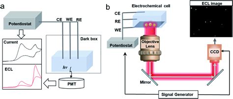 Electrogenerated Chemiluminescence Detection Of Single Entities Chemical Science Rsc