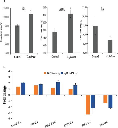 Frontiers Physiological And Transcriptome Profiling Revealed Defense