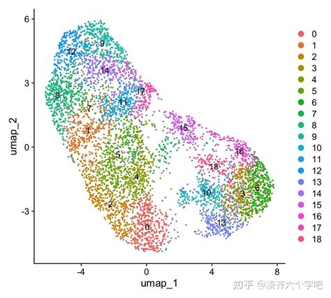 单细胞实战之亚细胞分群从t Nk至cd4 T细胞——从入门到进阶 中级篇1） 知乎