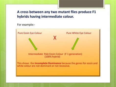 Multiple Allelism Pptx Blood Disorders Diseases And Conditions