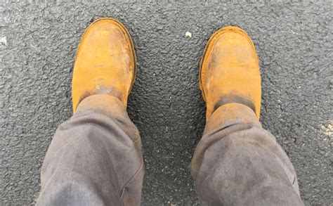 Lawn Rust How To Identify Treat And Prevent Rust On Grass