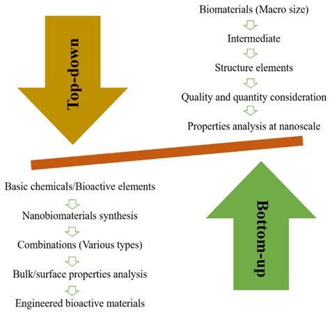 Design Of Bioactive Materials Based On Top Down And Bottom Up