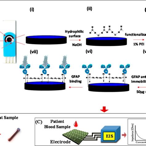 A Schematic Representation Of Electrochemical Immunosensor Download