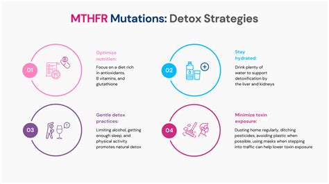 Mthfr Gene Mutations Explained Symptoms Risks And Testing Guide