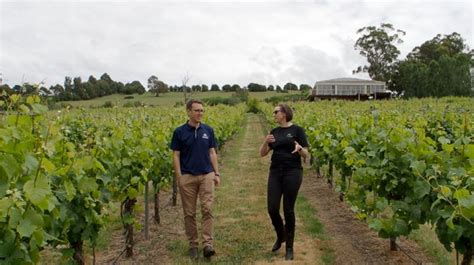 Ai Agtech Innovation Ausindustry