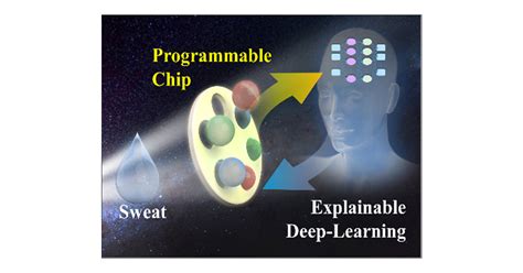 Explainable Deep Learning Assisted Sweat Assessment Via A Programmable