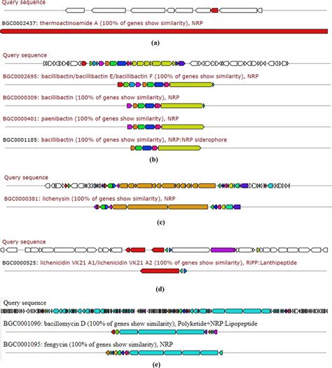 The Biosynthetic Gene Clusters Of Bacillus Licheniformis Strain