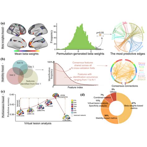 The Approaches To Build Interpretable Models In Predictive