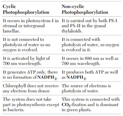 Give Comparison Between The Cyclic And Non Cyclic Photophosphorylation
