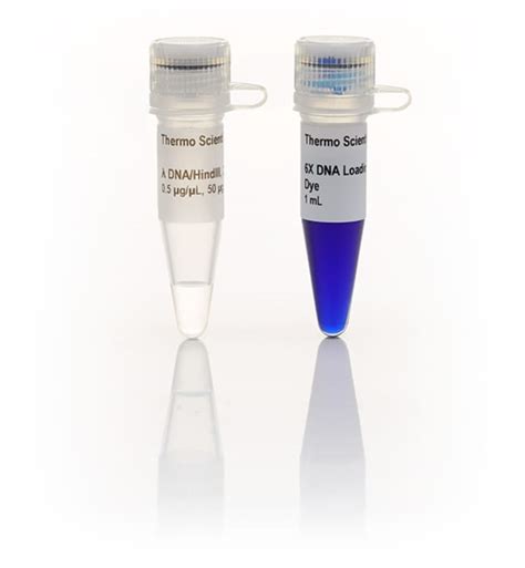 Thermo Scientific Lambda Dnaecori Marker 5 X 50 μg Buy Online