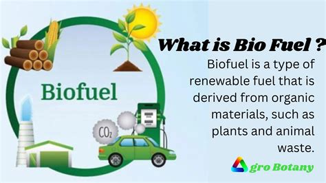 Biofuels Ppt Pdf Download Agrobotany