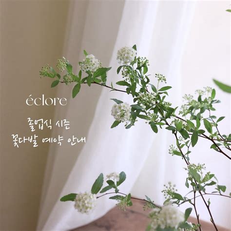 에끌로르꽃다발 안녕하세요 에끌로르 에끌로르 플라워