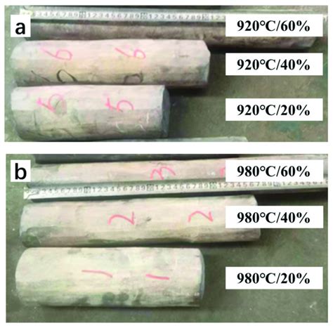 Overall Shape Of Each Deformation Degree After Forging A Different Download Scientific