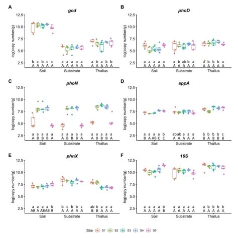 Permanova Adonis Function In R To Evaluate The Effect Of The