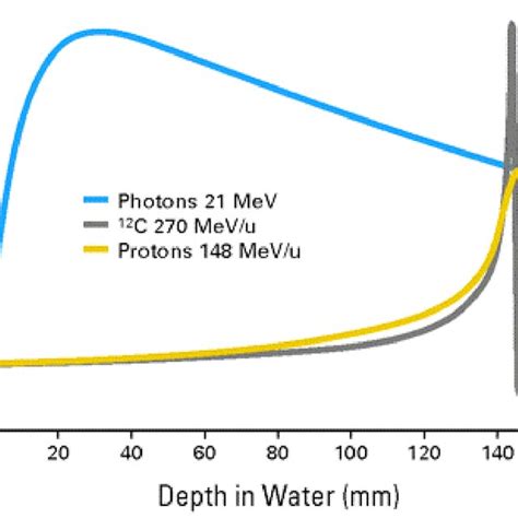 Depth Dose Distributions From 10 Mv X Rays Proton Beams And Carbon