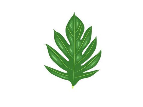 Bread Fruit Leaf Graphic By Purplebubble · Creative Fabrica