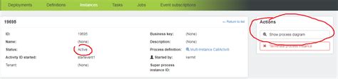 Completed Process Instances Diagram Not Available · Issue 447