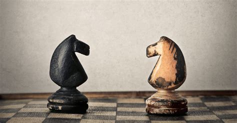Data Engineer Vs Data Scientist The Best Choice For 2024