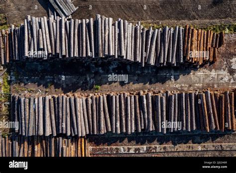 Log Storage For Sawn Timber For Export Lumberjack Port Business
