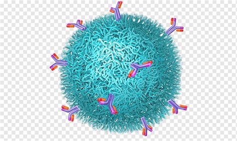 Magnetic Nanoparticles Superparamagnetism Craft Magnets