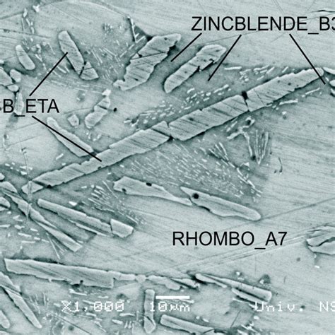 Sem Microstructure Download Scientific Diagram
