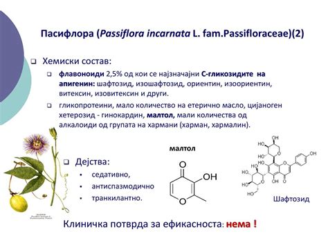 Растителни дроги и природни производи третманот на Ppt Download