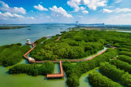 广东东江国家湿地公园百度百科