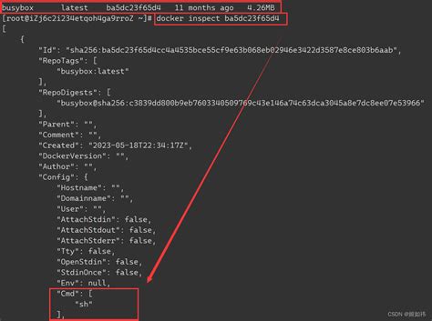 Docker Compose 容器编排 Csdn博客