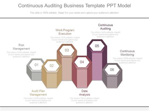 Continuous Auditing Business Template Ppt Model