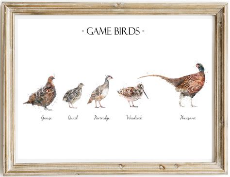 Game Birds