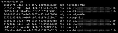 Make Your Life Easier With The Nsx T Central Cli · Romain Decker