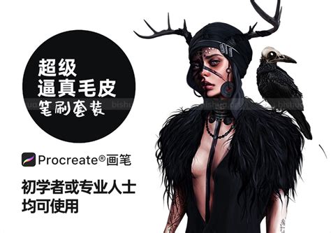 Procreate笔刷 Laura H Rubin终极画笔套装 Procreate笔刷库 入门绘画教程，全明星笔刷下载