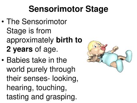 developmental psychology ppt download