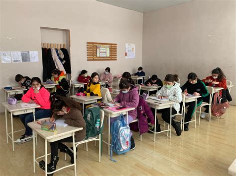 პორტფოლიო შორენა ალუღიშვილი მზის შვილები