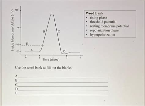 solved 30 inside membrane voltate mv word bank rising