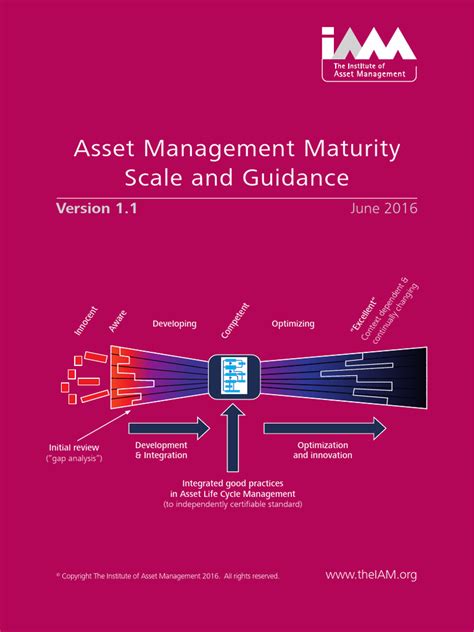iam asset management maturity guide v1 1 final web with fields pdf