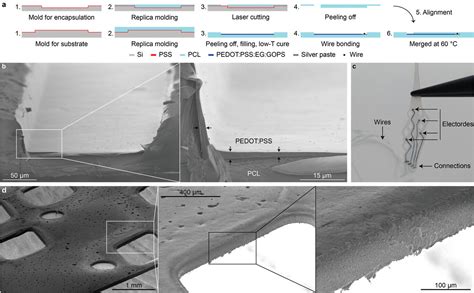 Transient Neurovascular Interface For Minimally