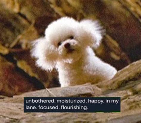 Hello Clarice R Memes