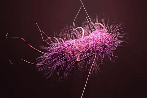 Full Evolutionary Journey Of Hospital Bacteria Superbug Mapped For The