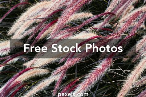 Colorful Statinary Imges Photos Download The Best Free Colorful