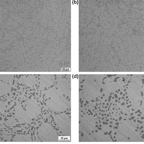 Model Output Of Microstructure Evolution Of Eutectic Sg Iron During Download Scientific Diagram
